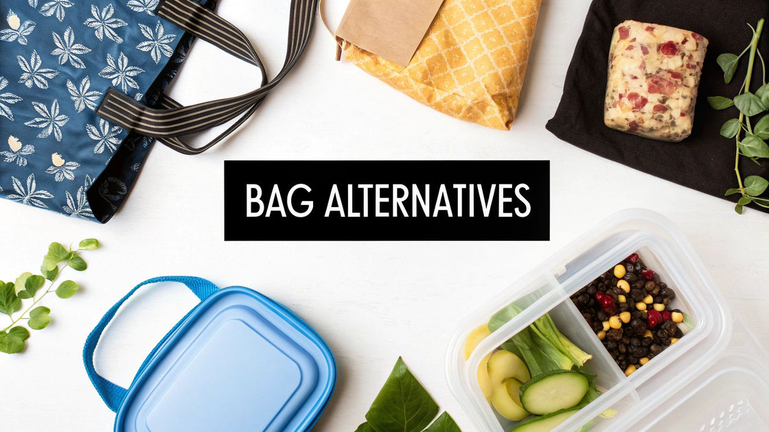 Your Guide to Smart Substitutes for Plastic Bags – HYDAWAY Official Store